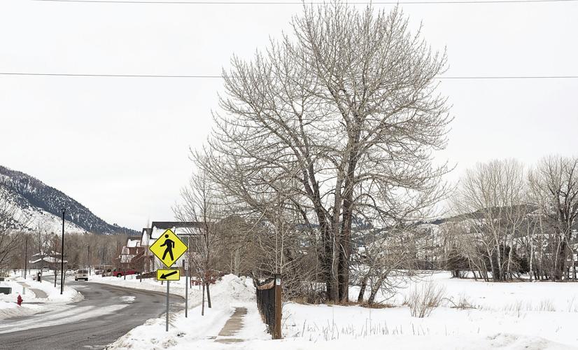Canyon Gate site planning underway | City | bozemandailychronicle.com