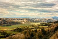 Re-wilding the prairie: As grizzlies expand to rangelands, some cheer ...