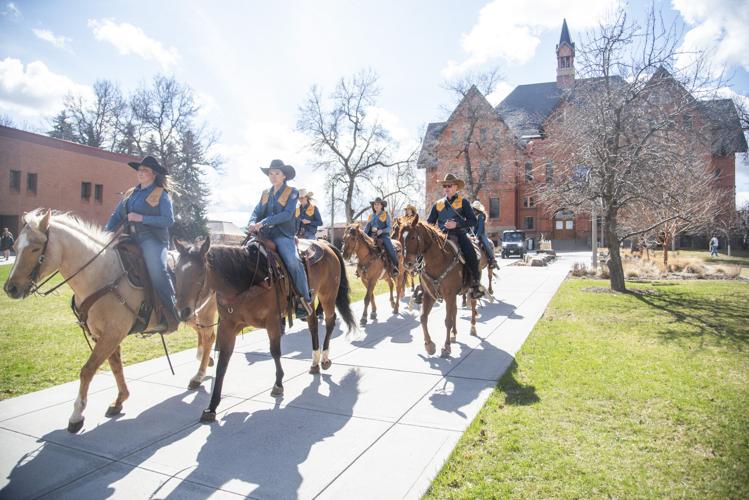 'One of the best': Bobcat Spring Rodeo kicks off this weekend ...