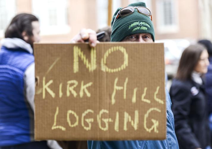 Protesters push against logging in popular area south of Bozeman ...