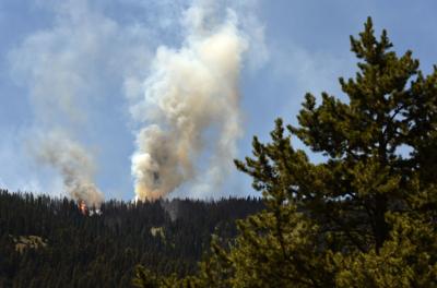 Bacon Rind Fire sees minimal growth | Environment ...