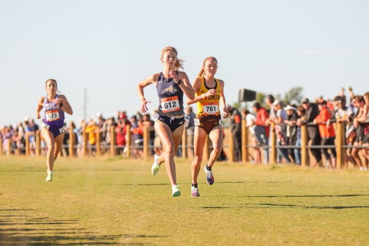 Montana State women's cross country is taking advantage of fresh start ...