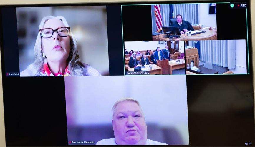 Ellsworth pleads not guilty, argues legislative immunity | News ...