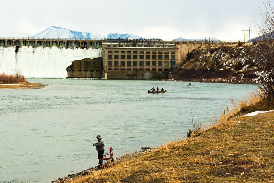 The Mighty Mo | Sports | bozemandailychronicle.com