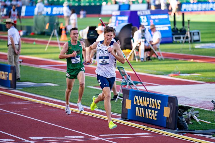 Montana State's Levi Taylor places 12th in men's steeplechase final at NCAA Outdoors | Bobcats ...