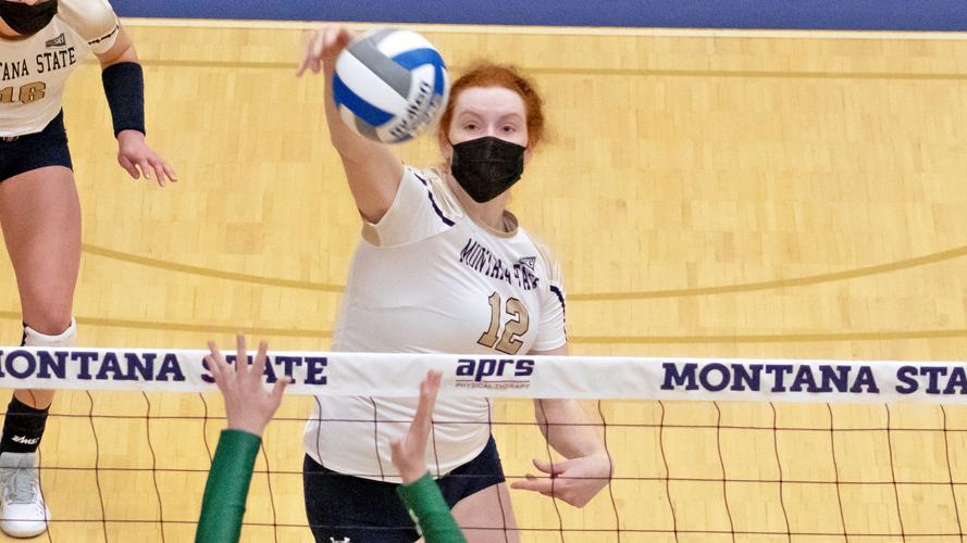 Montana State volleyball aiming to play for Big Sky championship ...