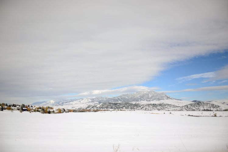Heavy snow hits Bozeman, damaging trees | City | bozemandailychronicle.com