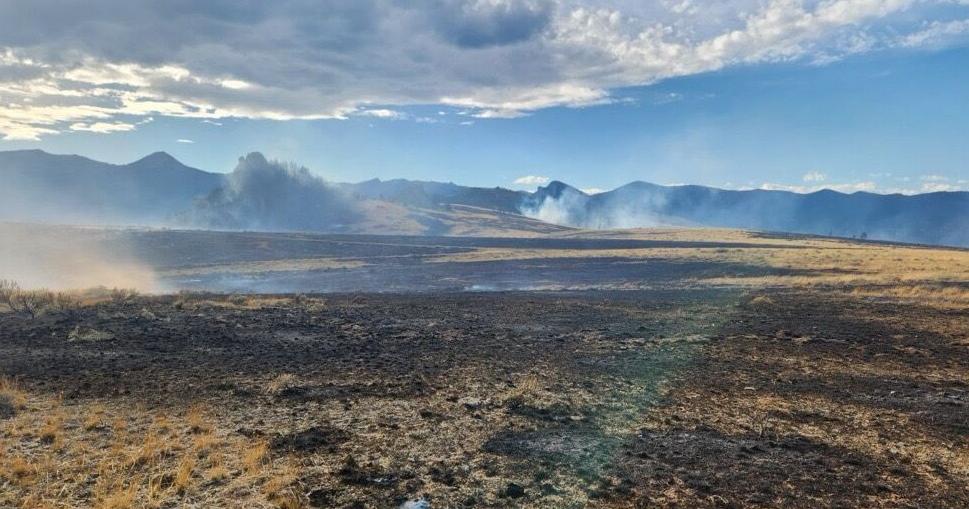 Quick-moving fire torches 200 acres near Revenue Flats west of Norris ...