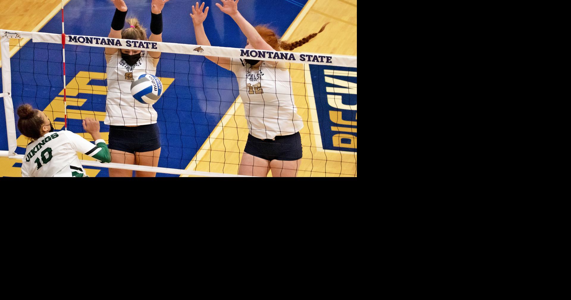 Montana State volleyball hosts TCU in Thursday exhibition | Bobcats ...