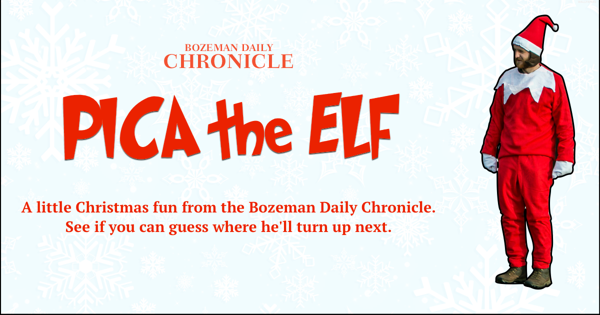 Pica the Elf | bozemandailychronicle.com