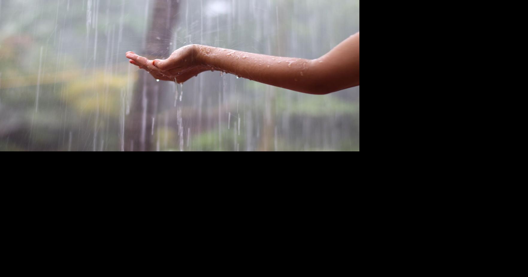 Peel Children’s Water Festival returning to in-person event