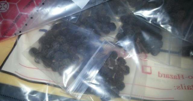 Police warn Peel store owners after opium found in Kamini tablets
