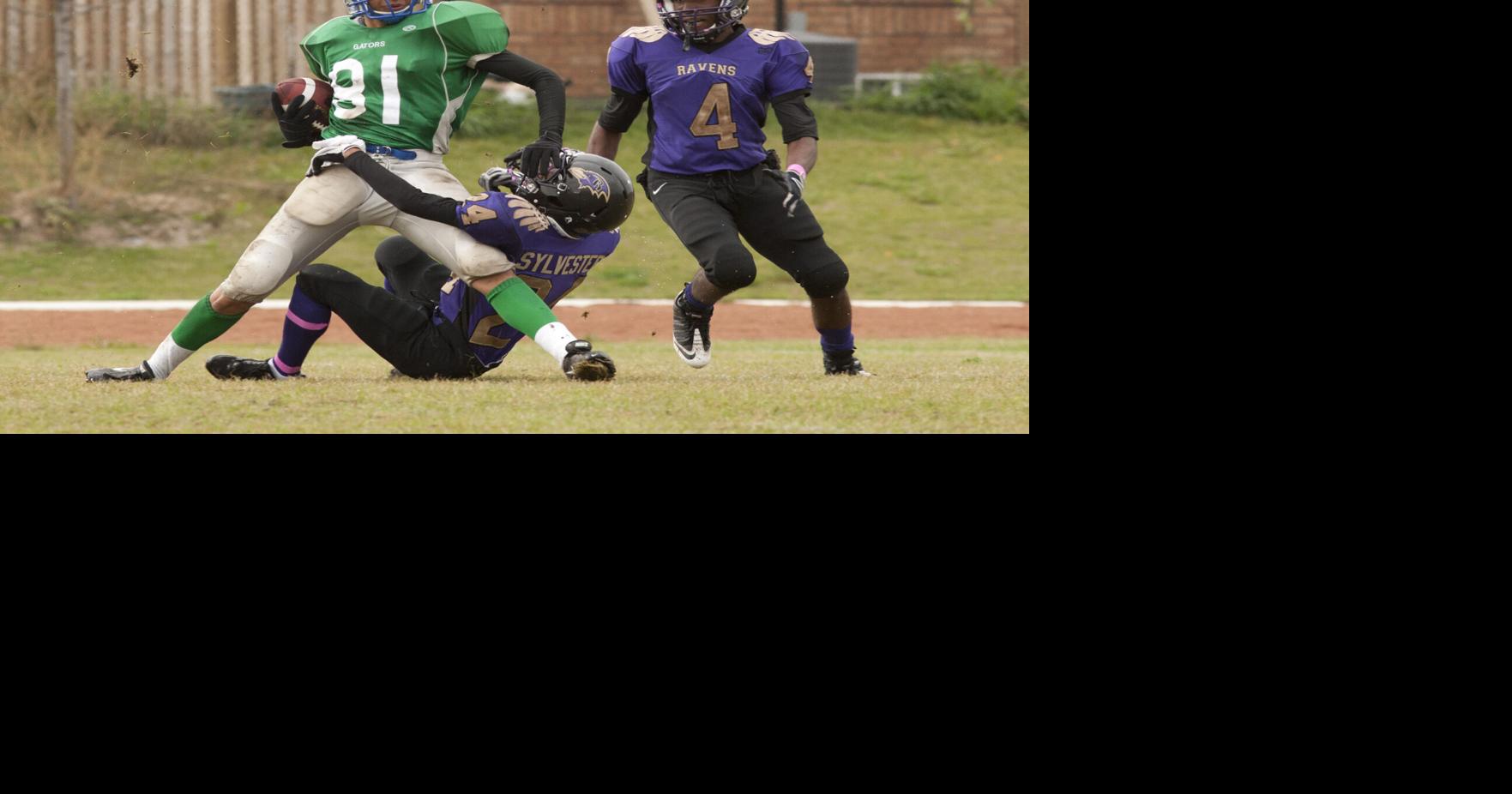 Ravens continue to soar