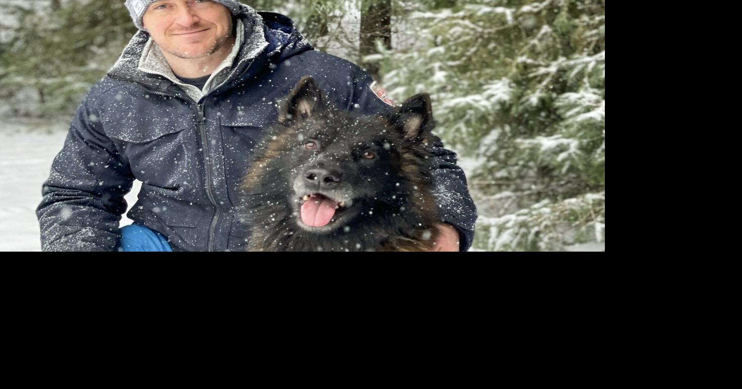 Peel police dog dies after 4 years in service