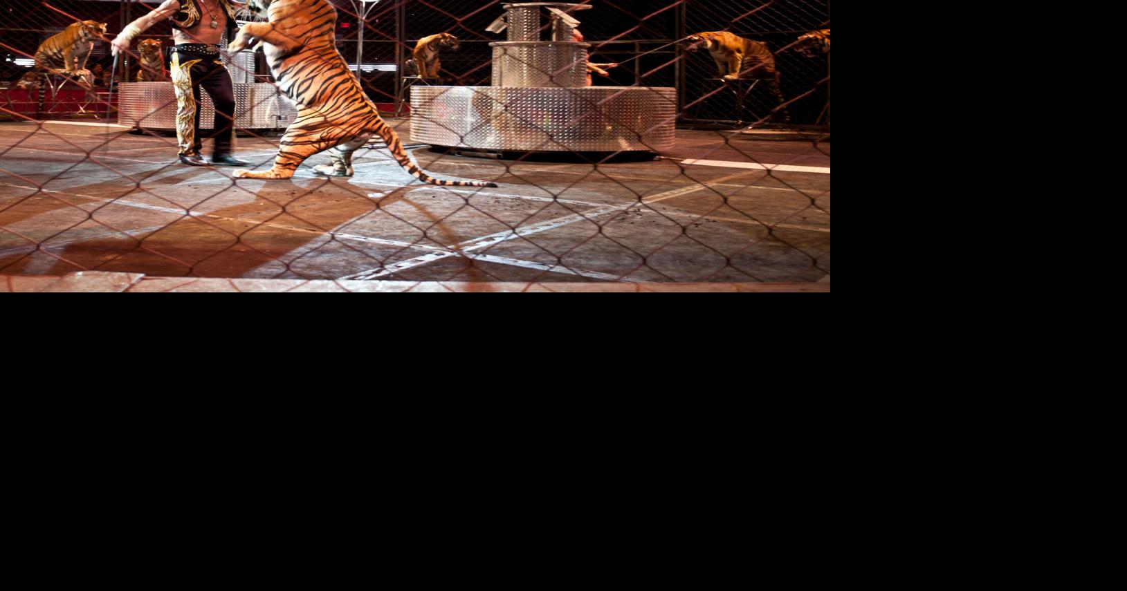 Circus calls PETA allegations of animal abuse baseless