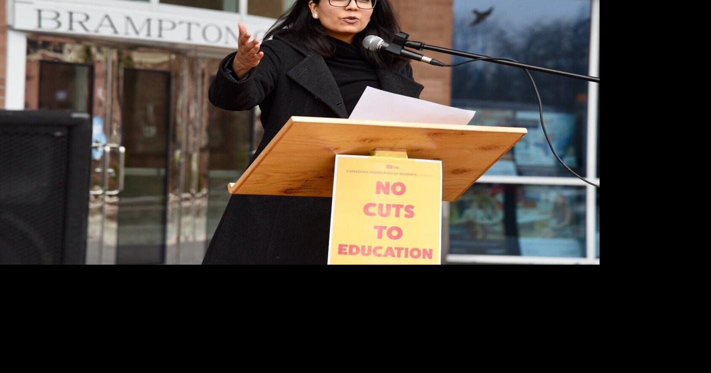 Former Toronto radio host denies Brampton New Democrat MPP's harassment ...