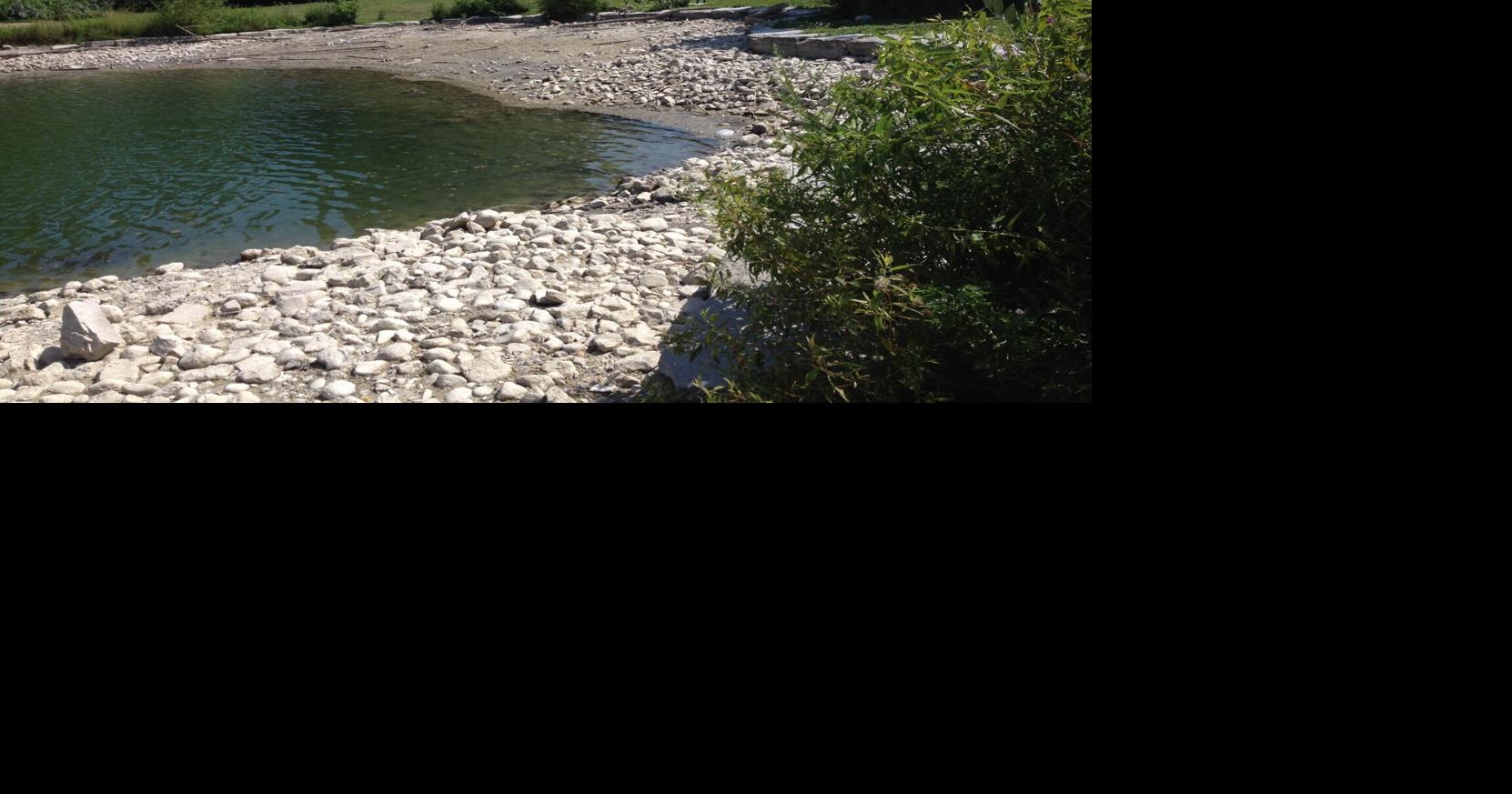 UPDATED: Is this Brampton pond quietly disappearing?