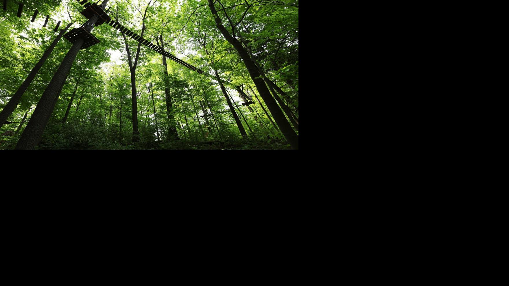 Treetop Trekking in Brampton offers ‘rare escape into nature’