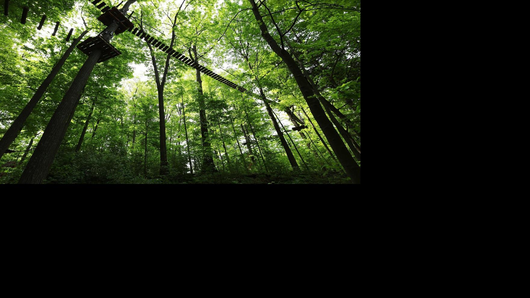 Treetop Trekking in Brampton offers ‘rare escape into nature’