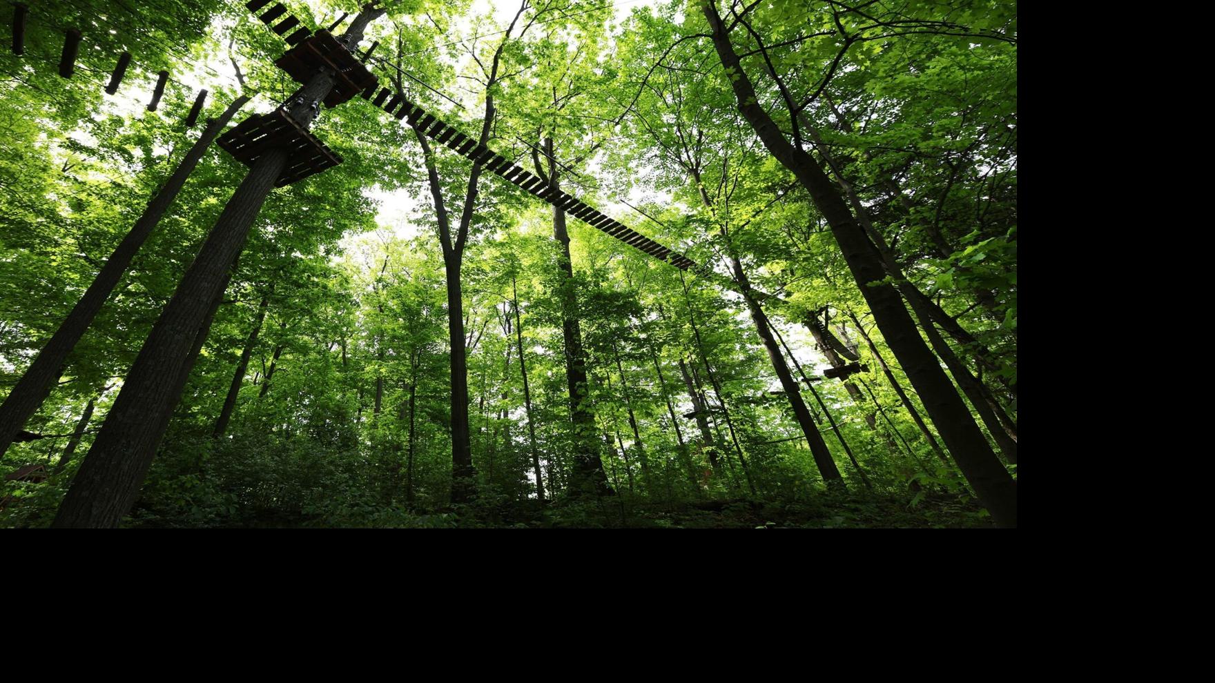 Treetop Trekking in Brampton offers ‘rare escape into nature’