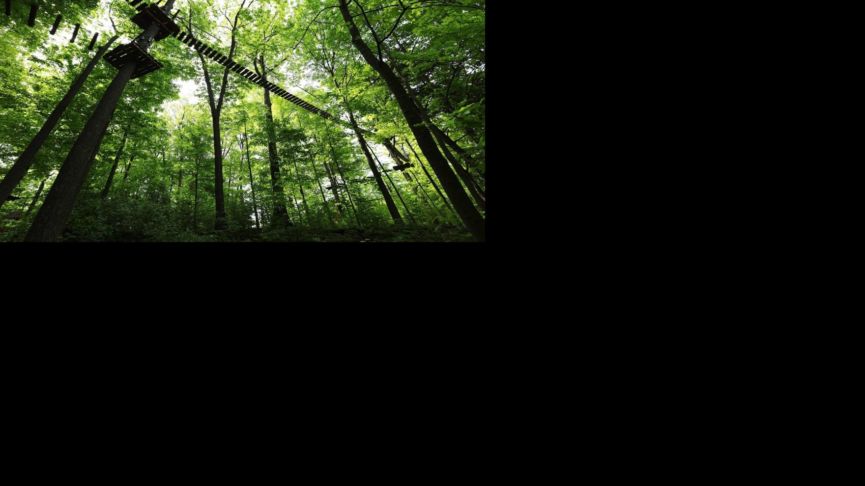 Treetop Trekking in Brampton offers ‘rare escape into nature’