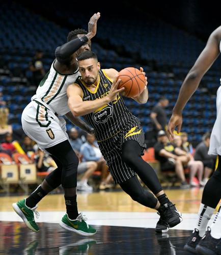 honey badgers basketball