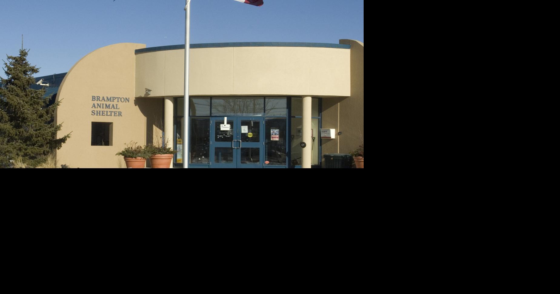 Animal shelter open house Saturday