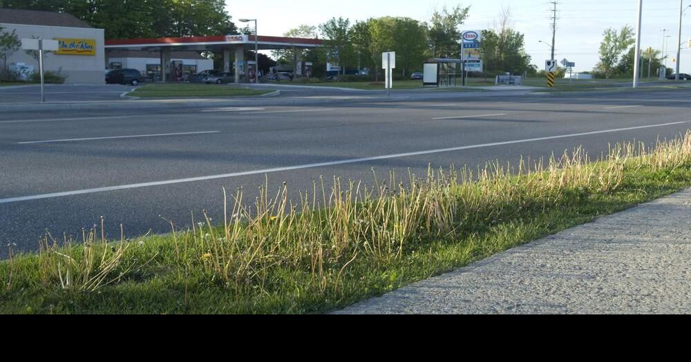 Weeds have gone amok