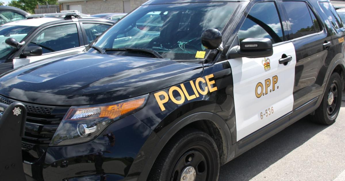 Brampton Man 58 Charged In Alleged Sexual Assault North Of Guelph 4853