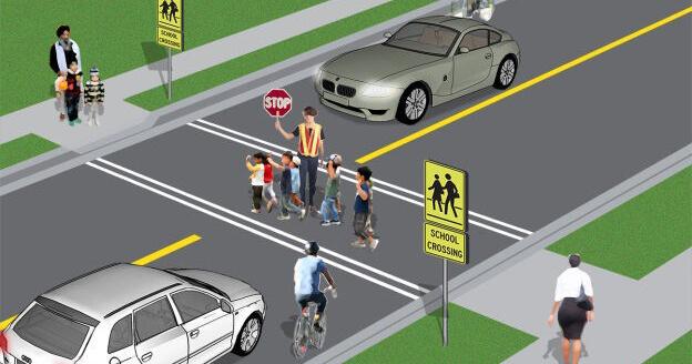 Confused by new pedestrian crossover rules? Here's a hint: Mississauga ...