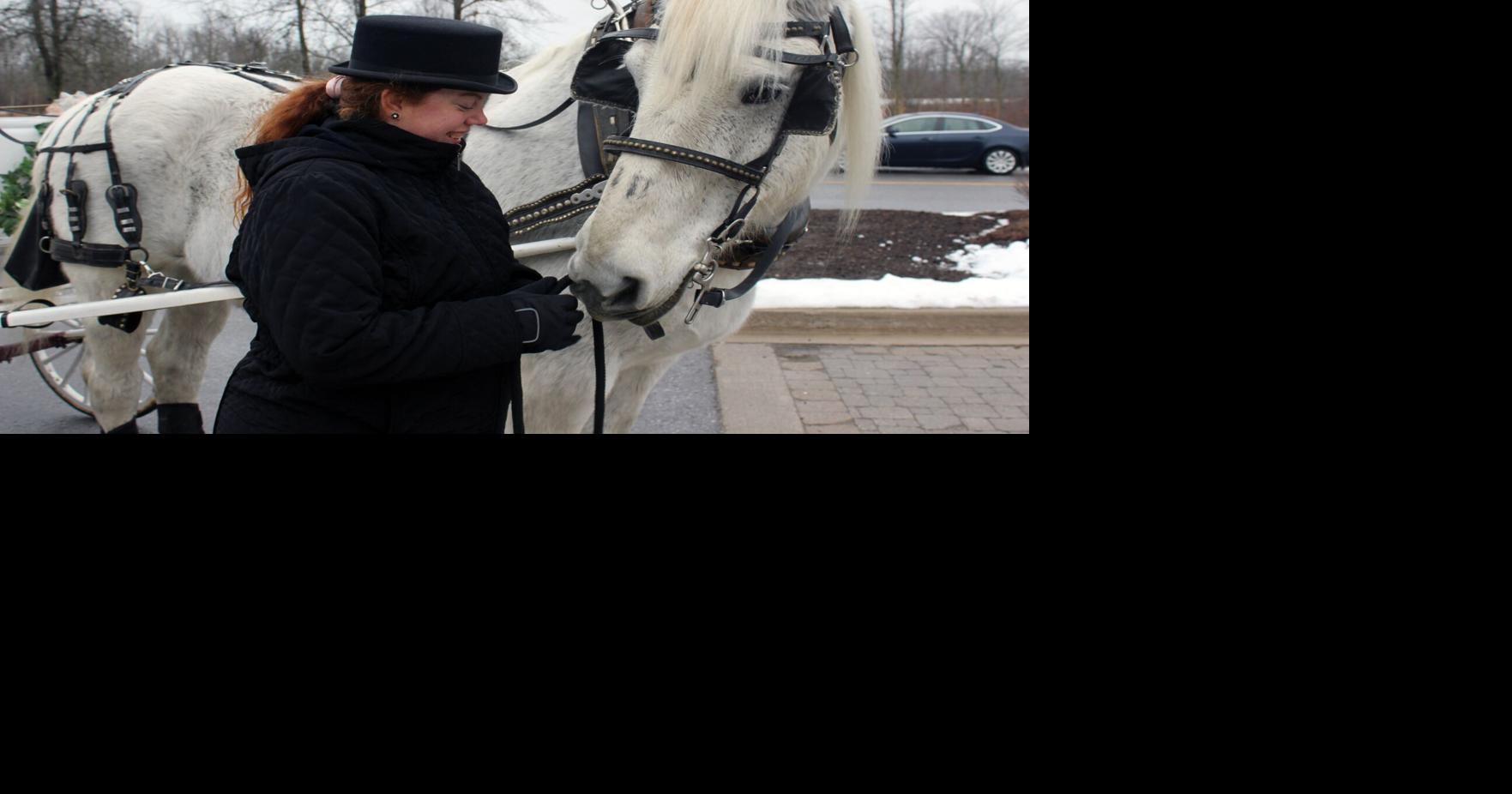 Feeling romantic? Carriage rides returning to downtown Brampton