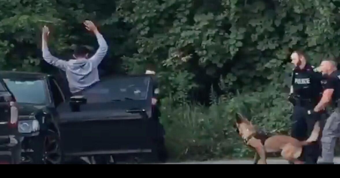 CAUGHT ON CAMERA: 'Wild' video shows dramatic police takedown after ...