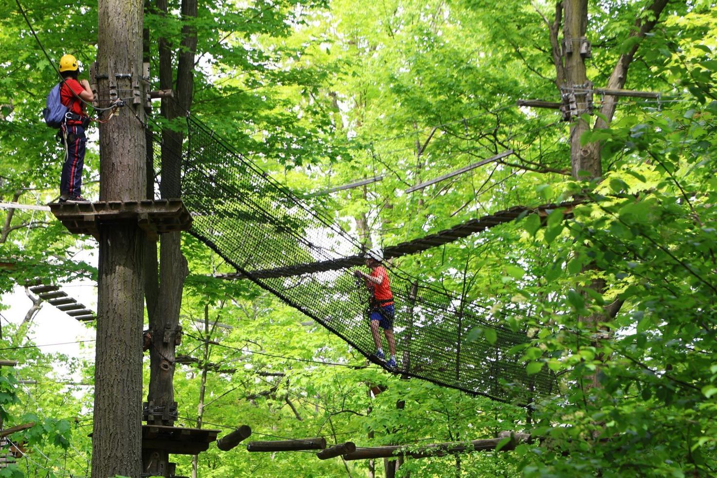 Treetop Trekking in Brampton offers ‘rare escape into nature’
