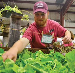 Farmers market re-opens: College of the Ozarks’ garden doubled to ...