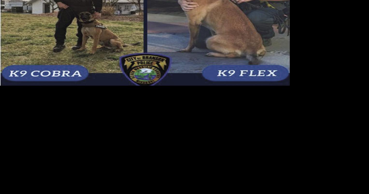 Branson PD seeks public support in grant contest | Local News ...