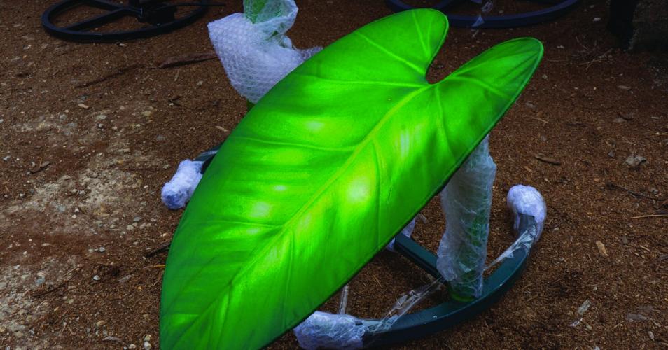 Ozarks Aglow to take form this spring | Entertainment ...