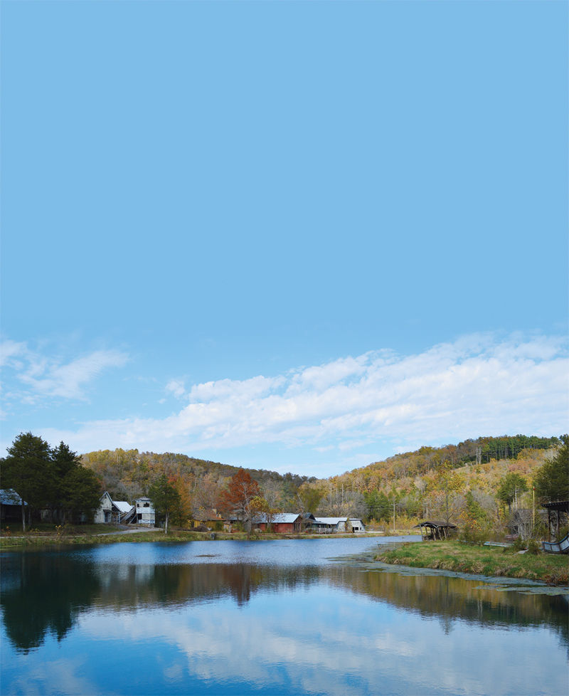 Dogpatch making a comeback | News Free | bransontrilakesnews.com