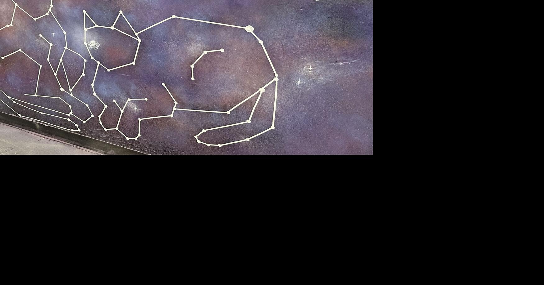 Finn Erickson: Art written in the stars | Perspectives ...
