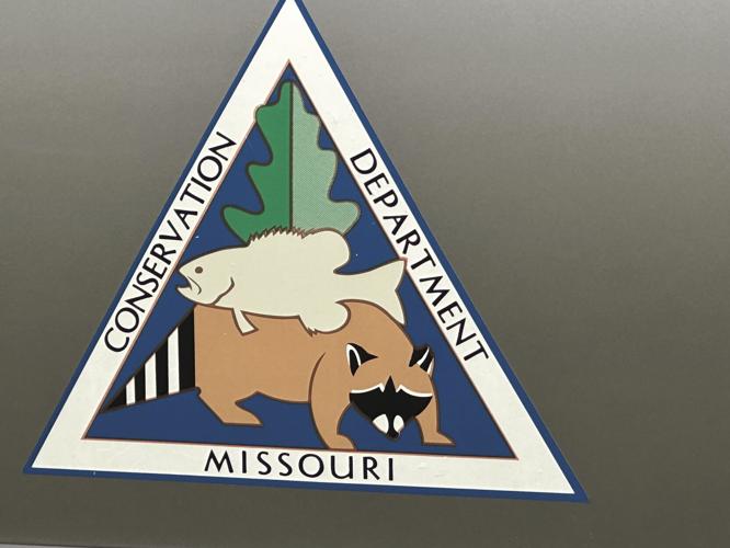 Children ‘reeling’ at Kids Fishing Day | News Free ...