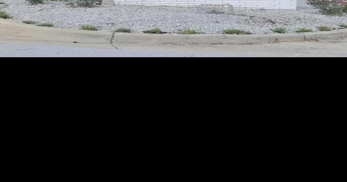 Library celebrates National Library Week | News Free ...