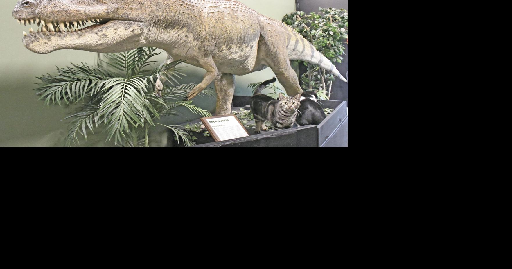 Catasaurus & Sabertooth: Branson Dinosaur Museum now featuring dinos ...