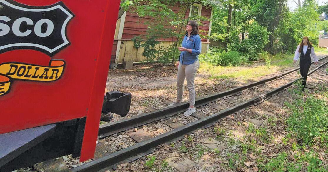 ‘Rare wheel defect’ causes SDC train car to go off track, two cars to ...