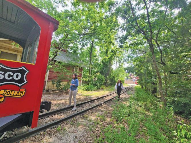 ‘Rare wheel defect’ causes SDC train car to go off track, two cars to ...