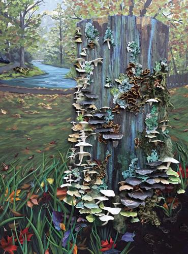 SMAC focuses on the Ozarks in upcoming show | News Free ...