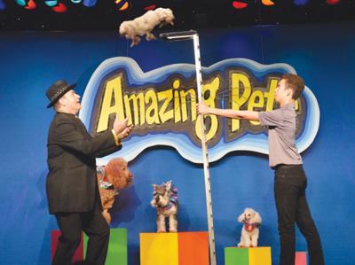 Mornings with ‘Amazing Pets’: Dogs, cats, birds and comedy highlight ...