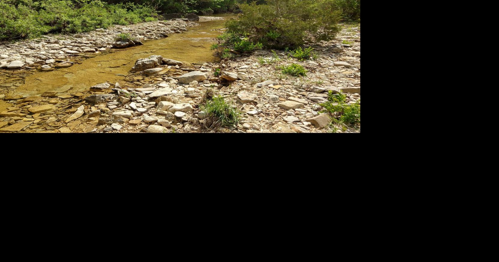 Taney County’s scenic hiking trails give a chance to enjoy nature ...
