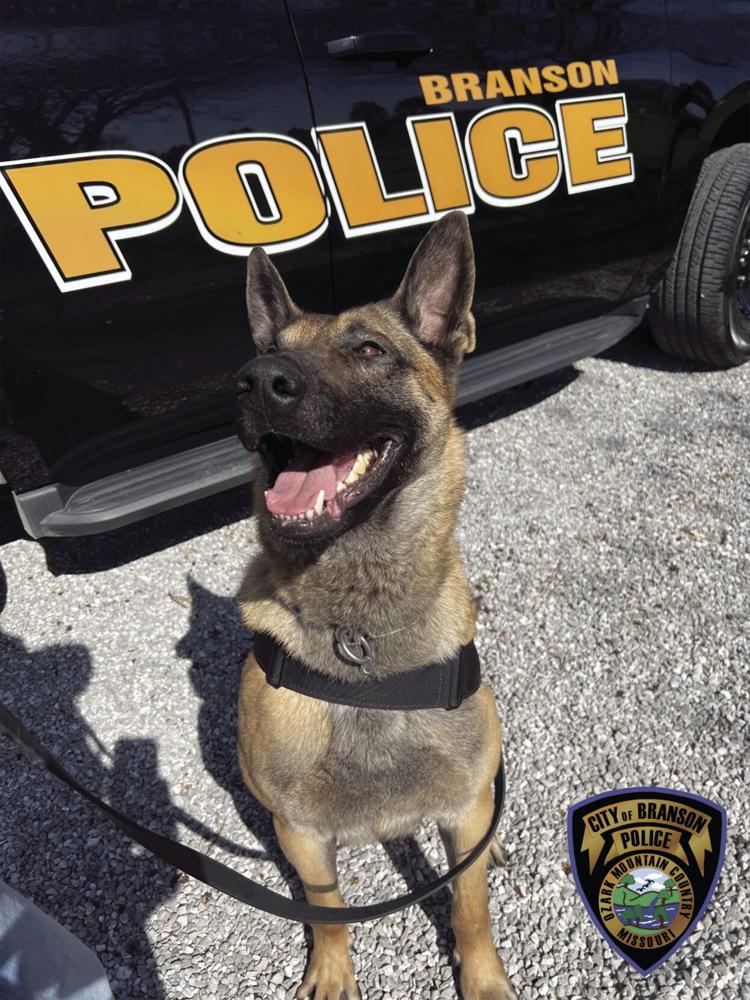 Branson Police welcome new K9 officer | Local News ...