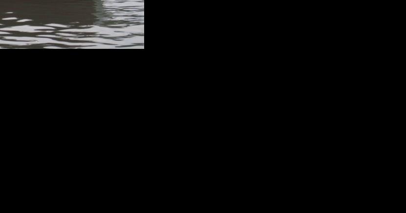 Classic boats to cruise Table Rock Lake | News Free ...