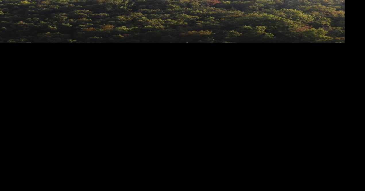 Reporter says farewell to the Tri-Lakes Area | News Free ...