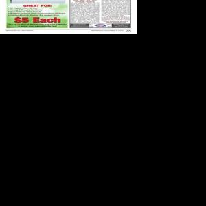 Page 3A | e-Edition | bransontrilakesnews.com